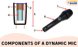 What is a Dynamic Microphone and How Does It Work?