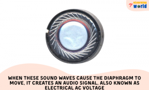 What is a Dynamic Microphone and How Does It Work?