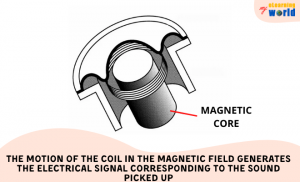 What is a Dynamic Microphone and How Does It Work?