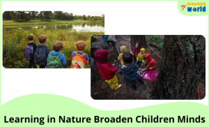 How Has Education Changed Over Time in the Last 100 Years?