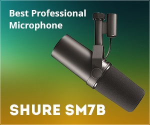 13 Best Voice Over Microphones — from $100 to $4000